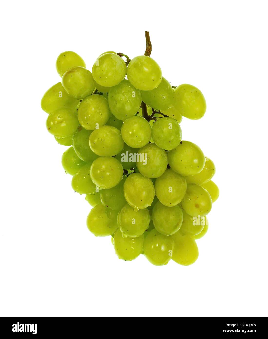A bunch of overripe grapes isolated on white background Stock Photo - Alamy