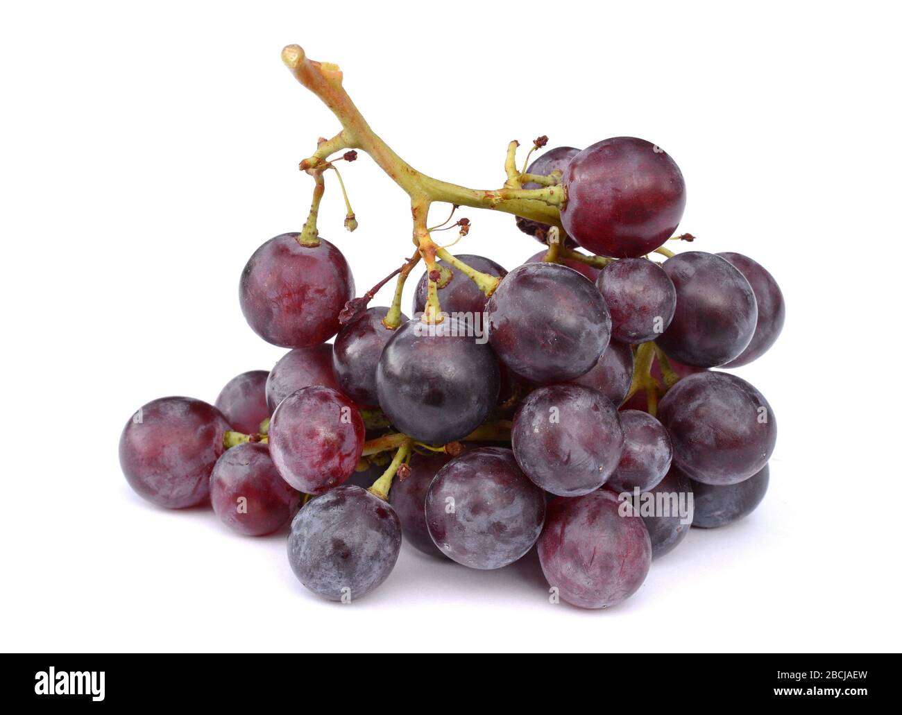 A bunch of overripe grapes isolated on white background Stock Photo - Alamy