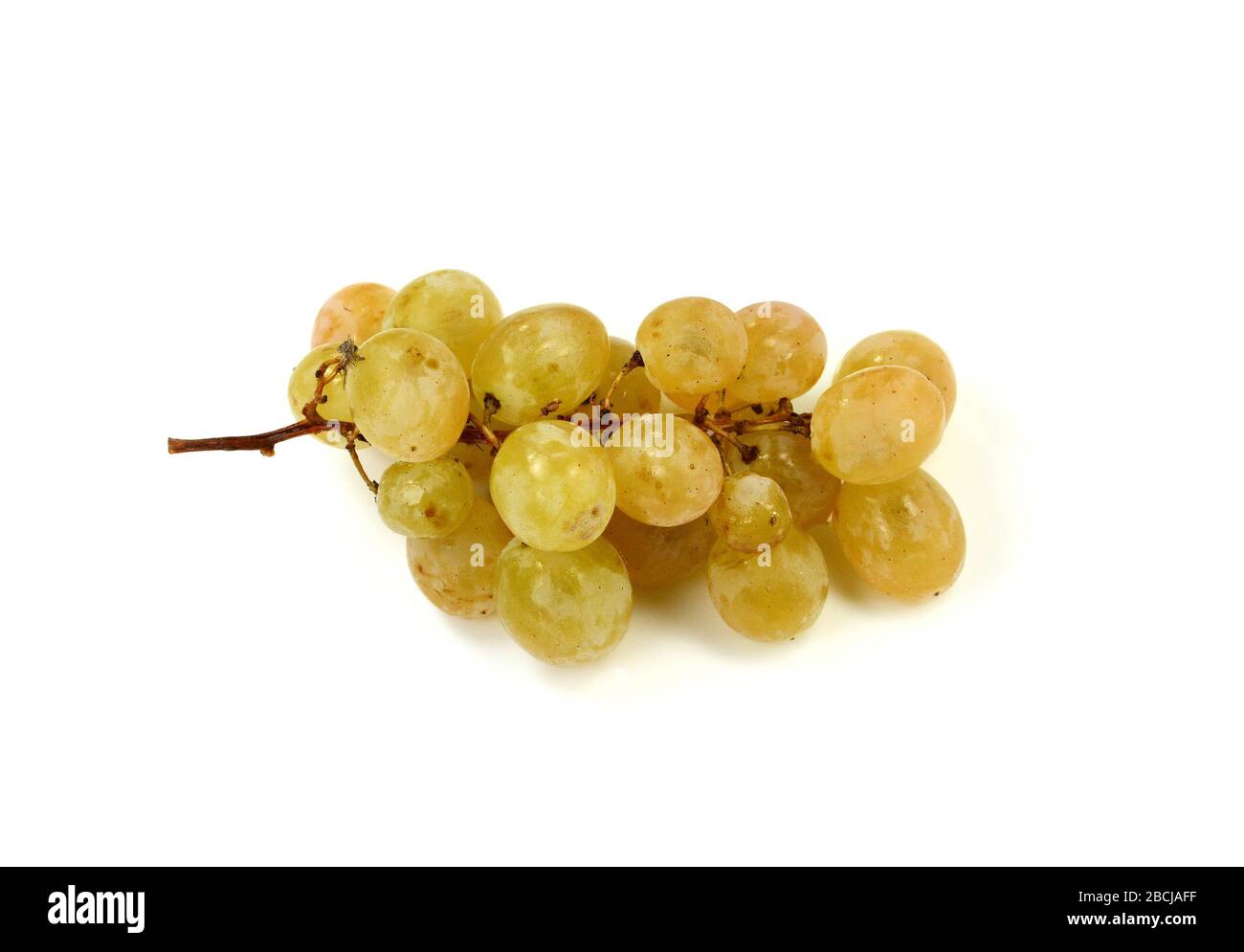 A bunch of overripe grapes isolated on white background Stock Photo - Alamy