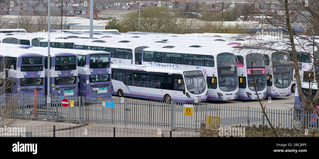 Large numbers of buses operated by First Sheffield parked in depot ...