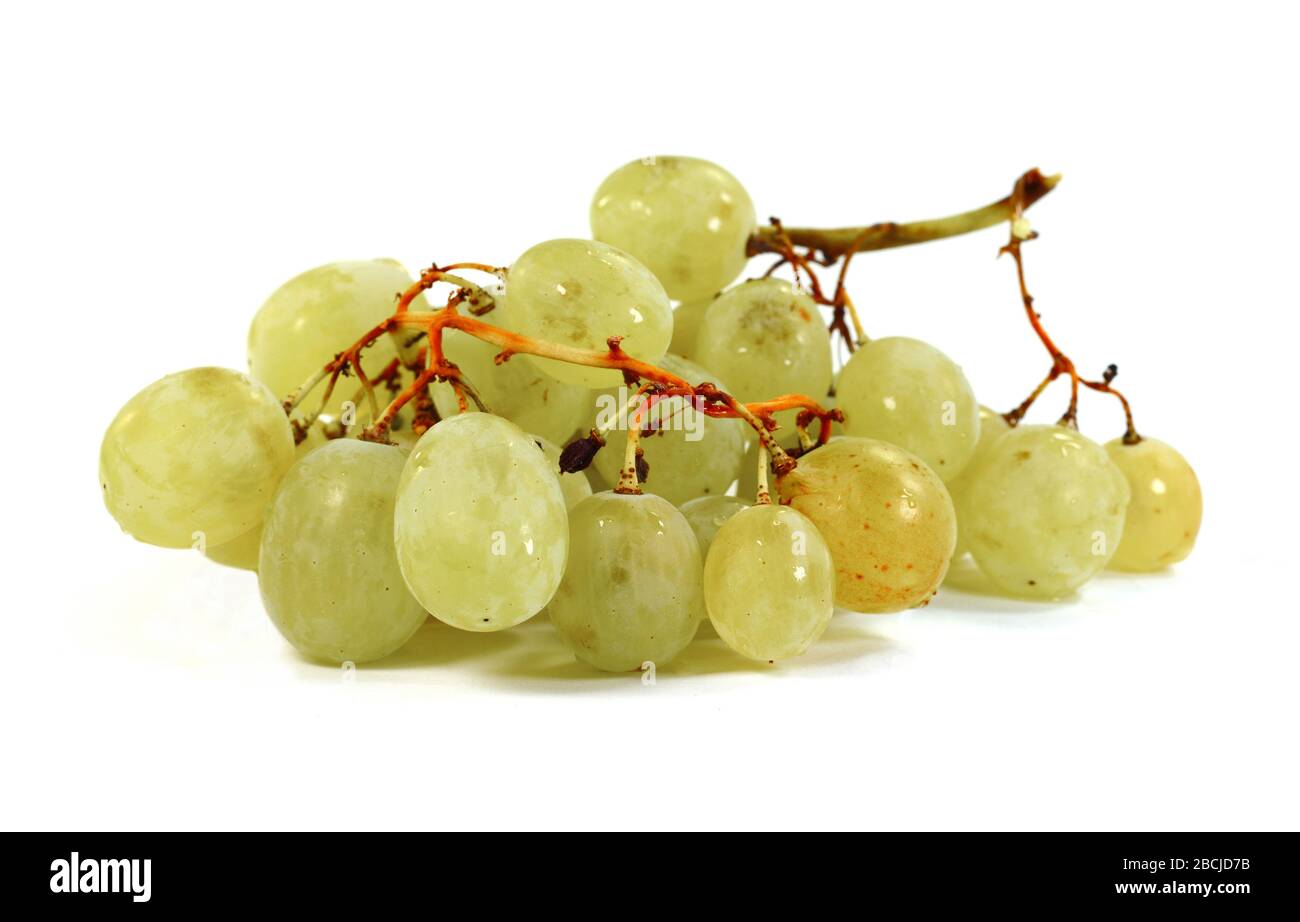 A bunch of overripe grapes isolated on white background Stock Photo - Alamy