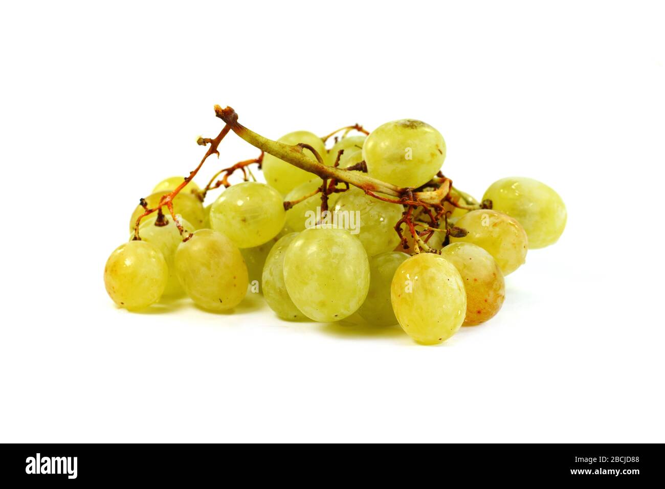 A bunch of overripe grapes isolated on white background Stock Photo - Alamy