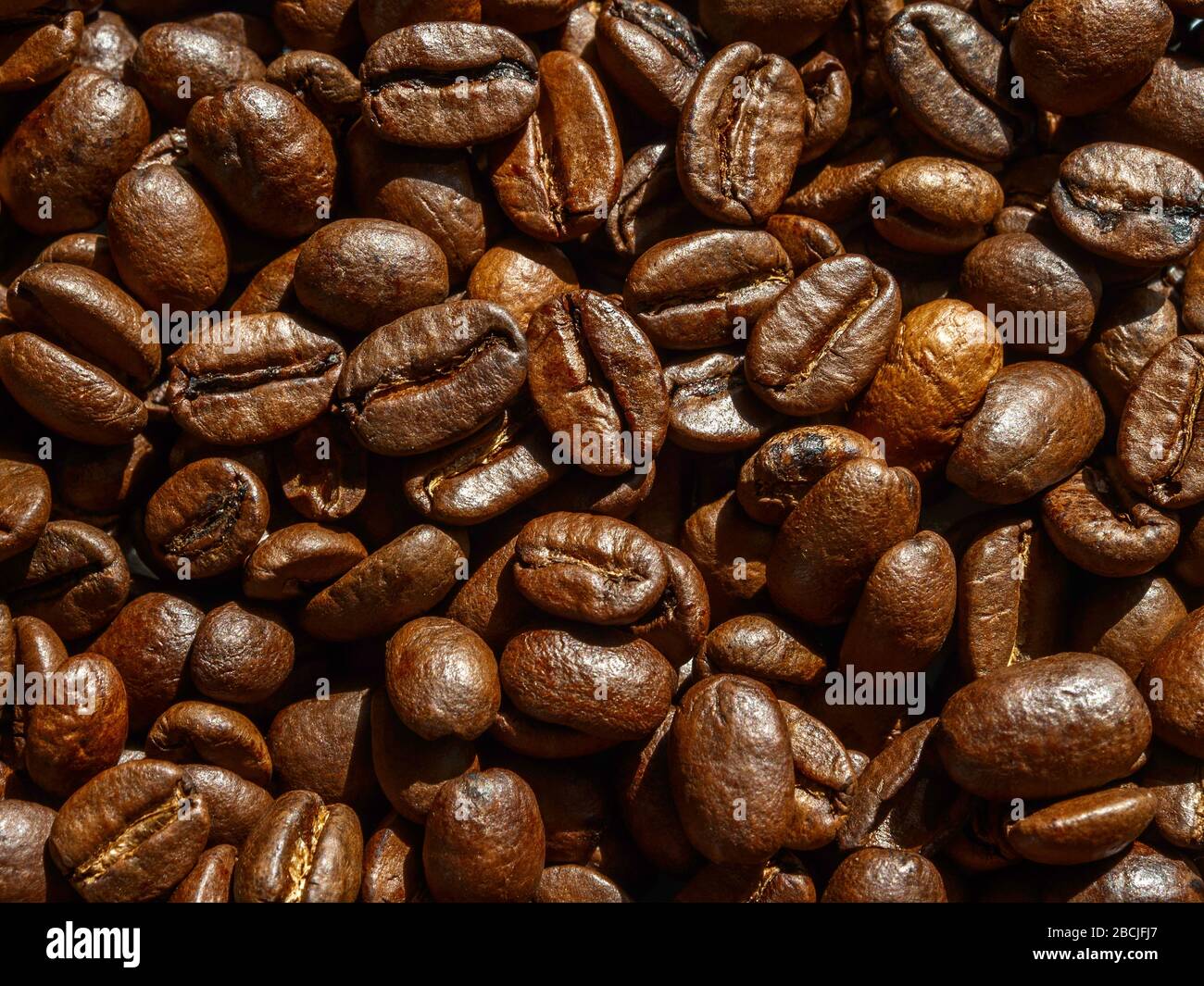Background made of grains of coffee.. Close-up on spread irregularly ...