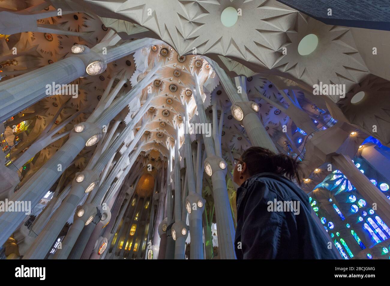 Girl looking up at the columns and ceiling of the Basílica de la ...