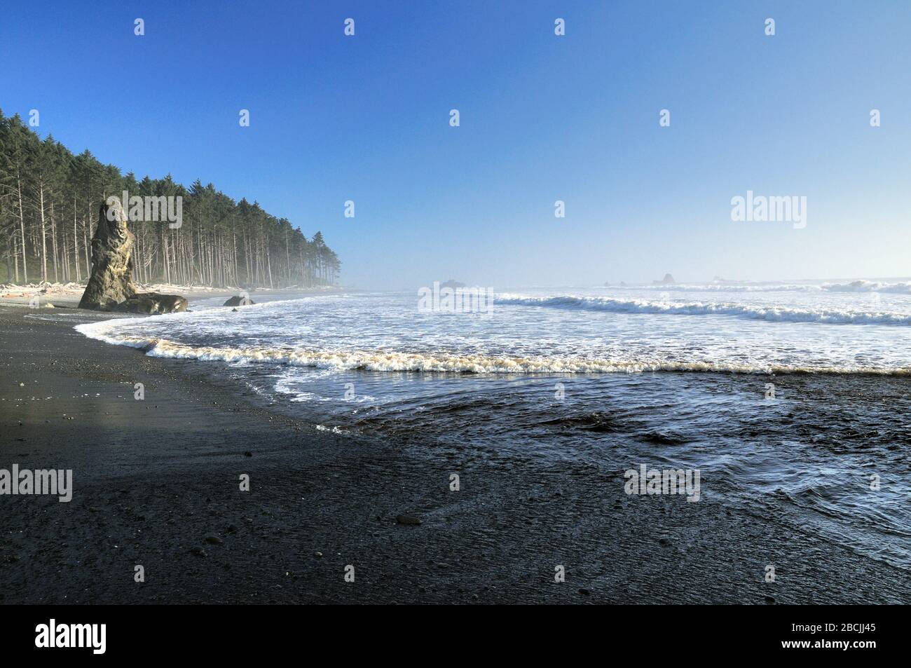 Wild Pacific Coast At Ruby Beach Olympic National Park Washington Stock ...