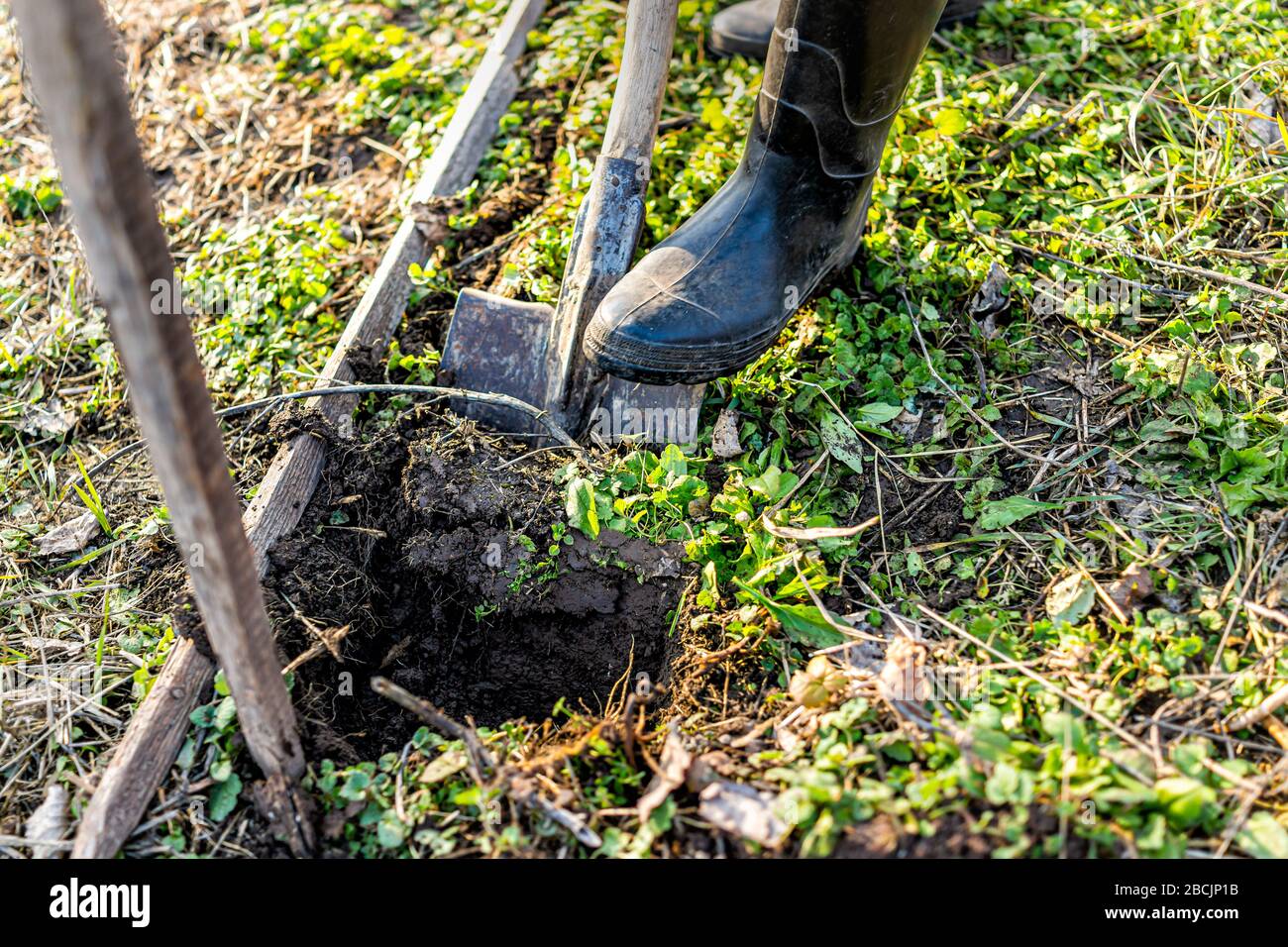 Foot digging hole in grass hi-res stock photography and images - Alamy