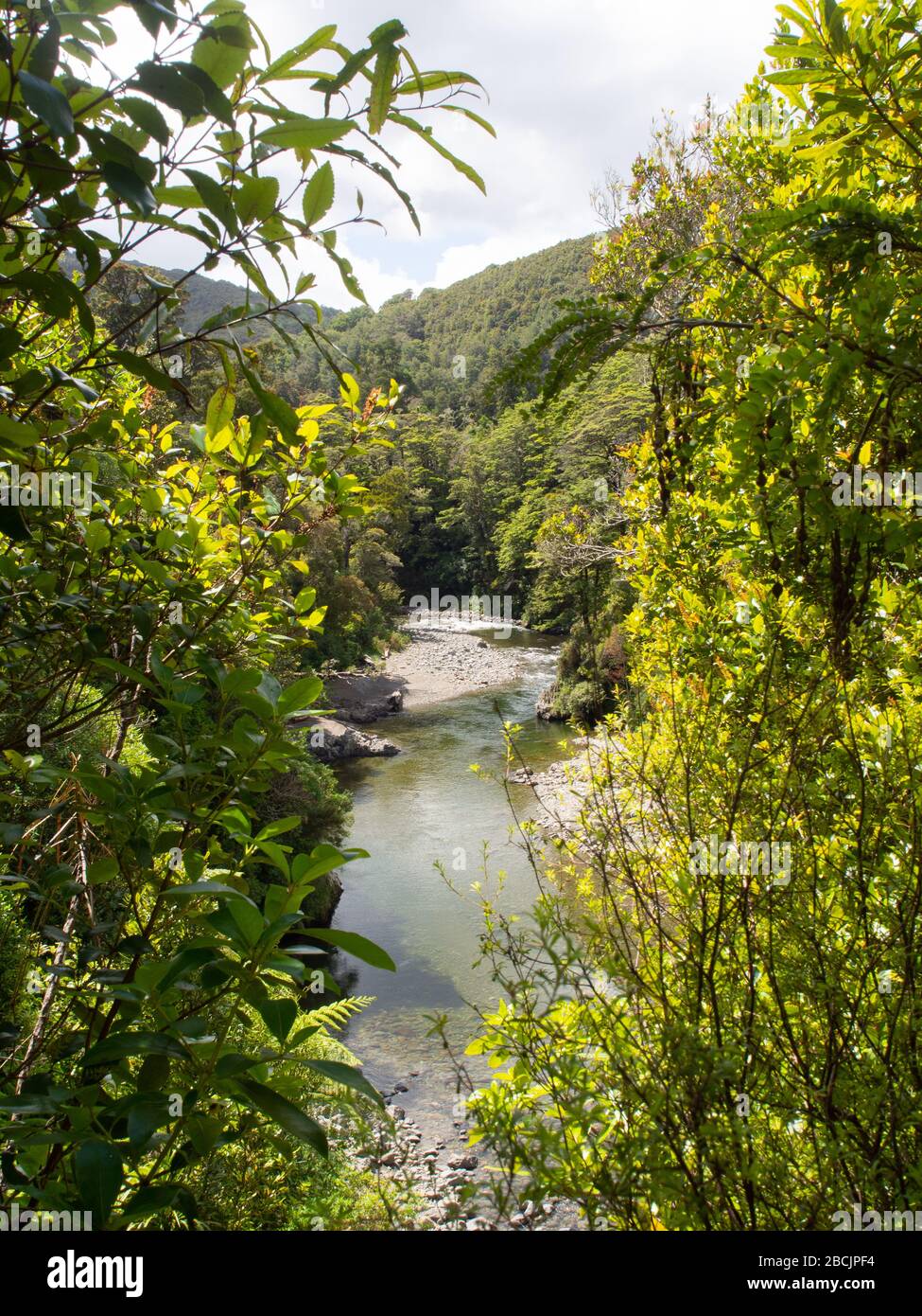 Kaitoke new zealand hi-res stock photography and images - Alamy