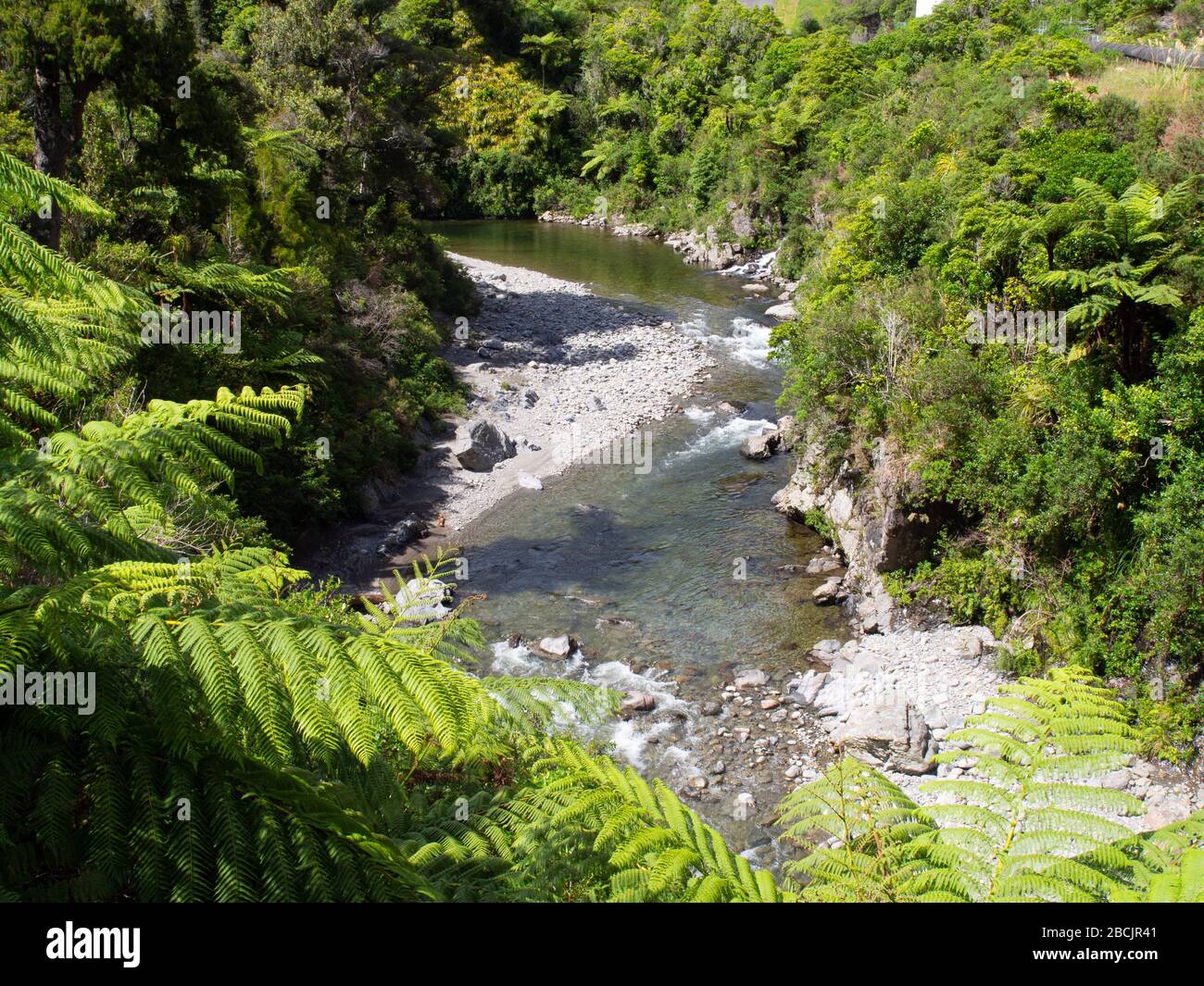 Landscape Of The River And Bush At Kaitoke Stock Photo - Alamy
