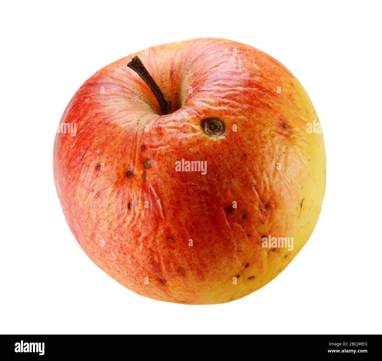 Overripe Rotten apple isolated on a white background Stock Photo - Alamy