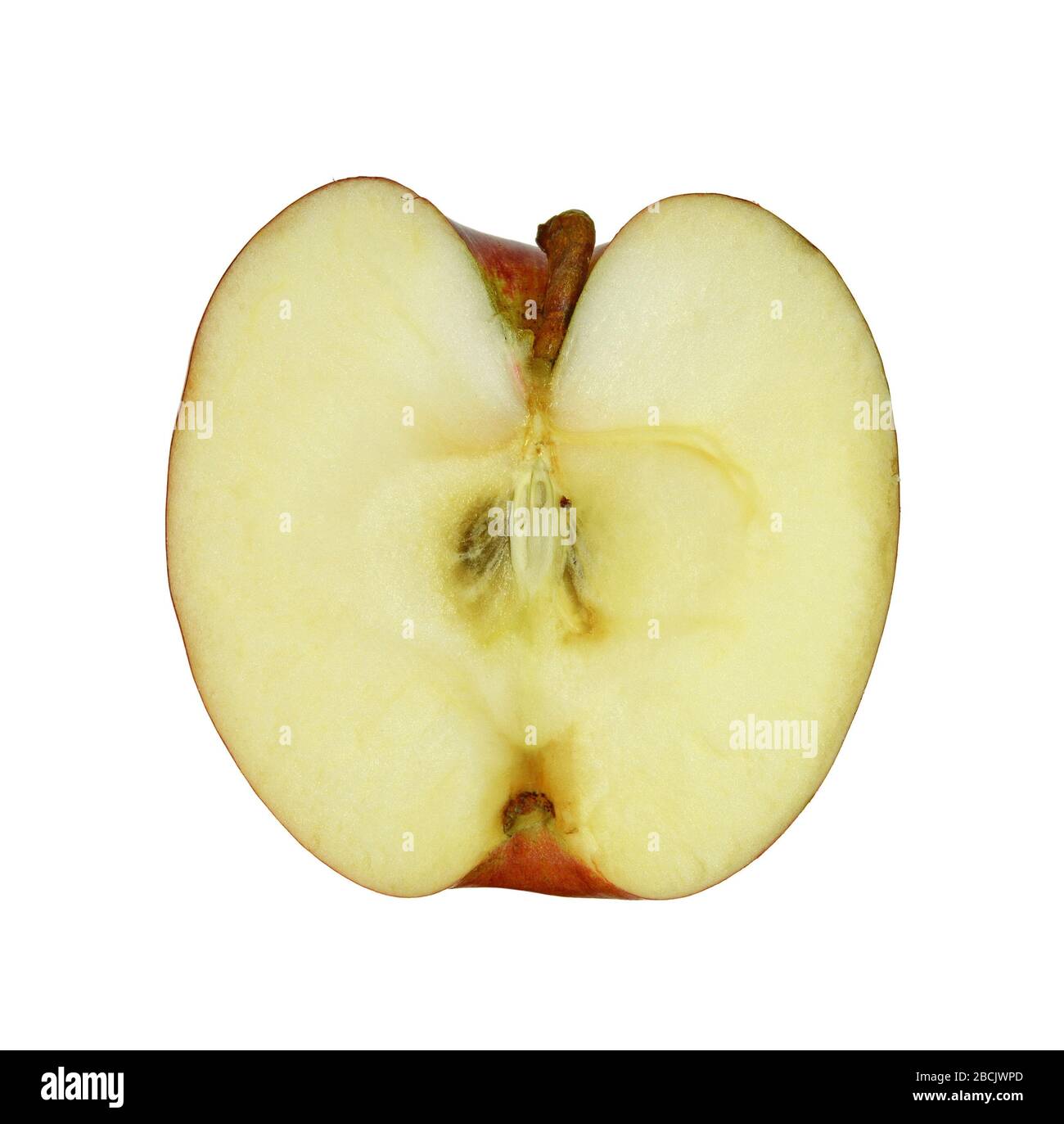 Red Apple Cut In Half