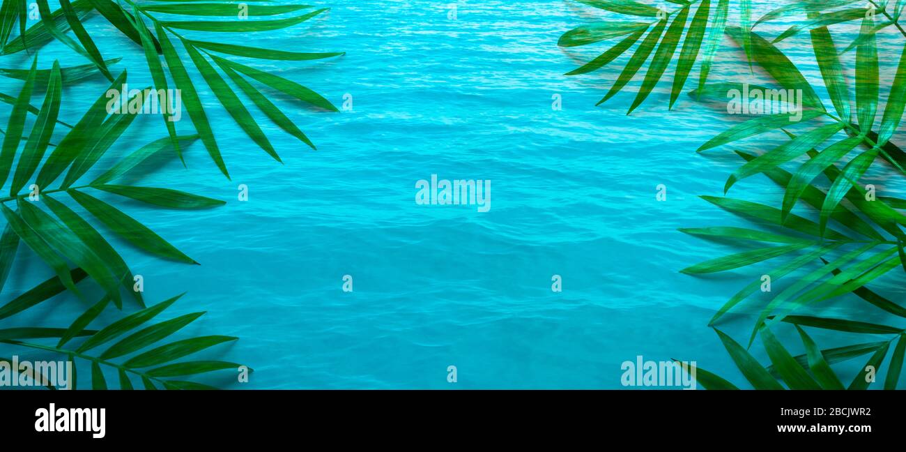 Palm tree blue sea hi-res stock photography and images - Alamy