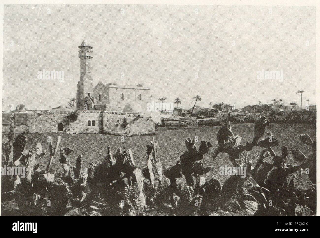 Lod lydda hi-res stock photography and images - Alamy