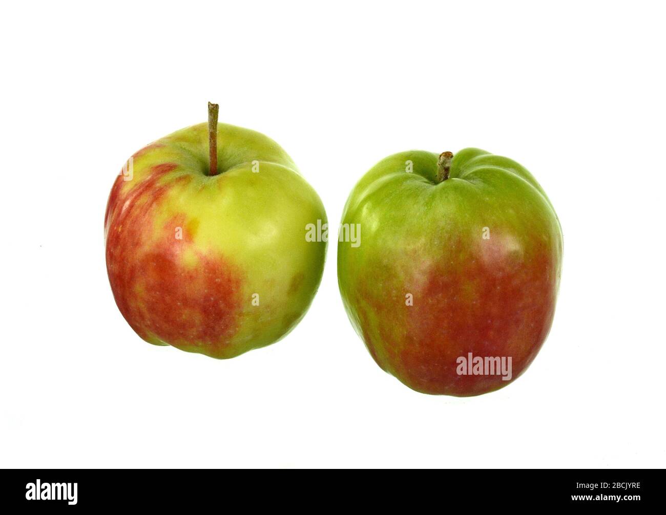 Beautiful natural apple isolated on white Stock Photo - Alamy