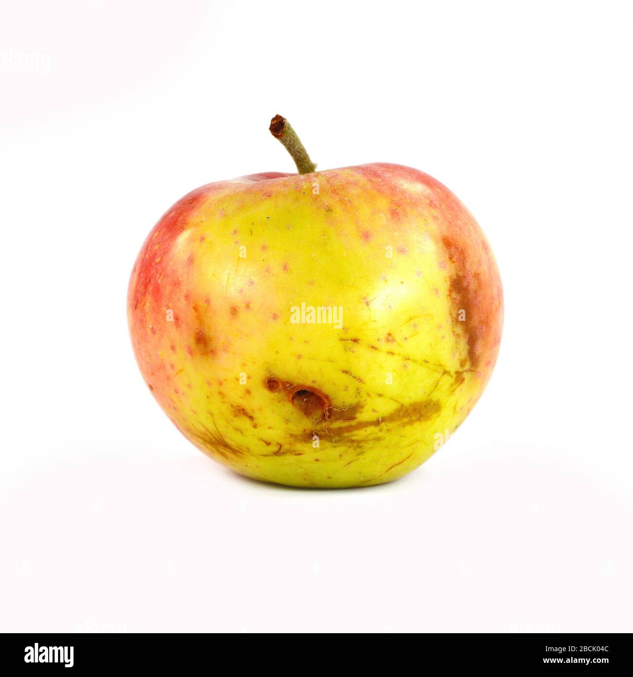 Overripe Rotten apple isolated on a white background Stock Photo - Alamy