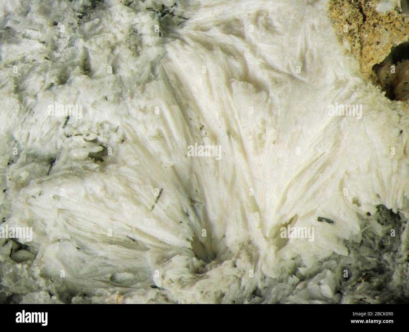 Demix hi-res stock photography and images - Alamy