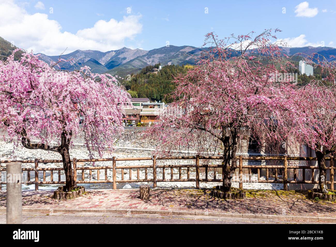 Pink Trees Cherry River