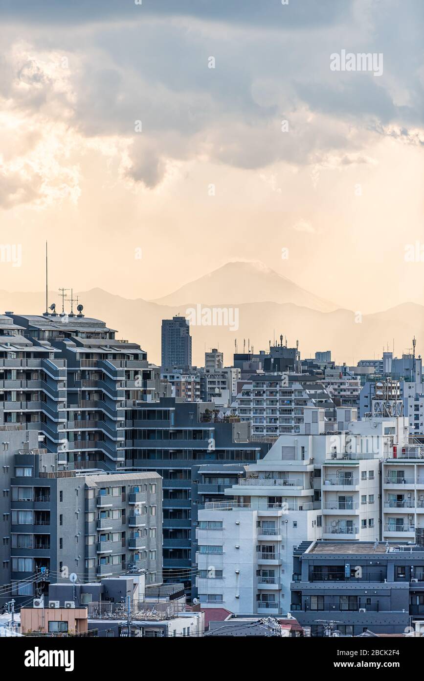Yellow sunset in Tokyo, Japan Shinjuku cityscape with silhouette view ...