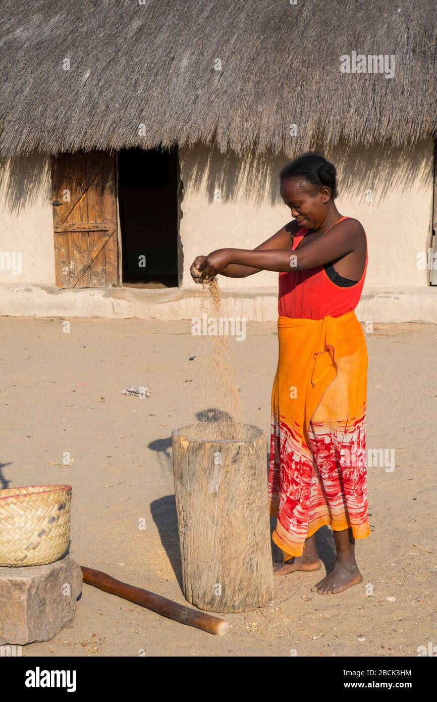 Woman pounding rice hi-res stock photography and images - Alamy