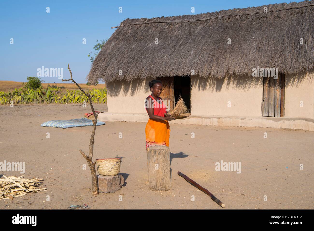 Africa, Madagascar, Ranohira (Isalo), Ihorombe Region. Bara tribe ...
