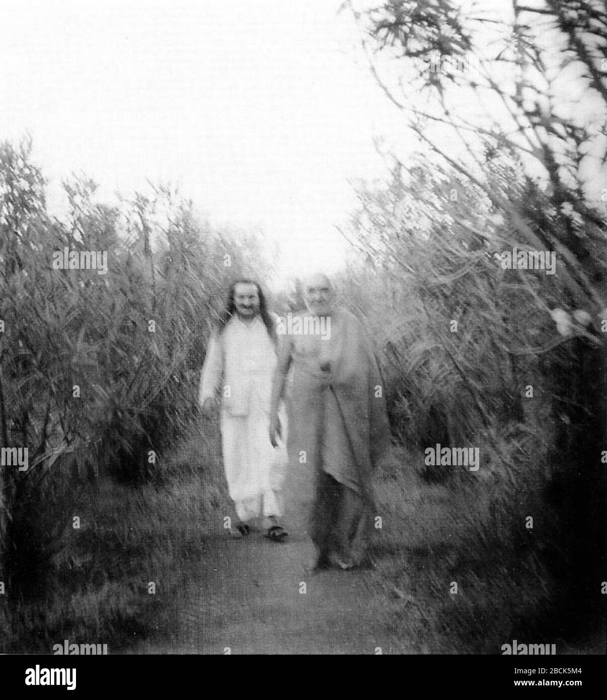 Perfect masters hi-res stock photography and images - Alamy