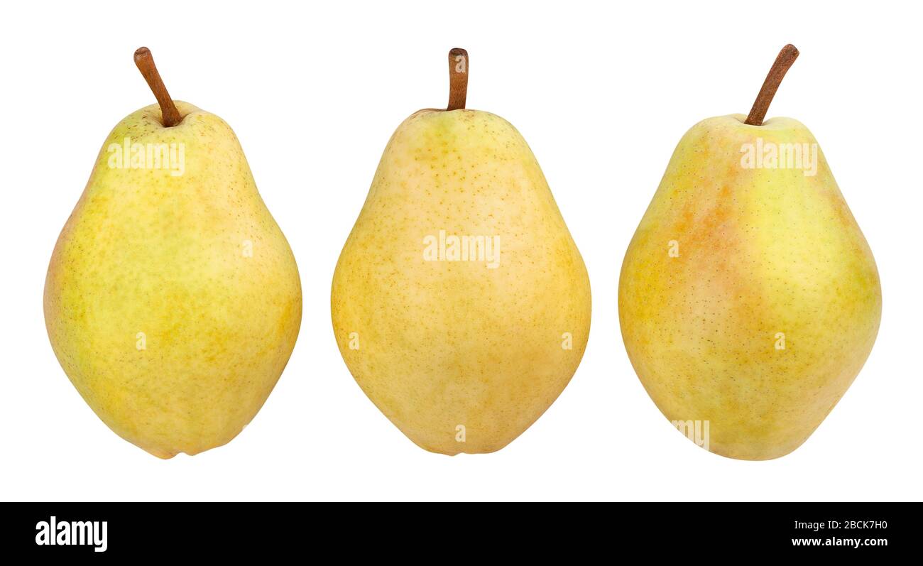 duchess pear path isolated on white Stock Photo - Alamy