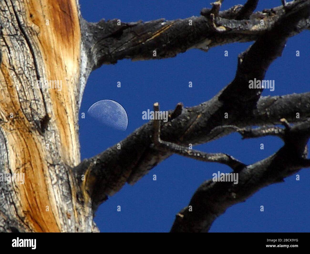 Public domain moon hi-res stock photography and images - Alamy