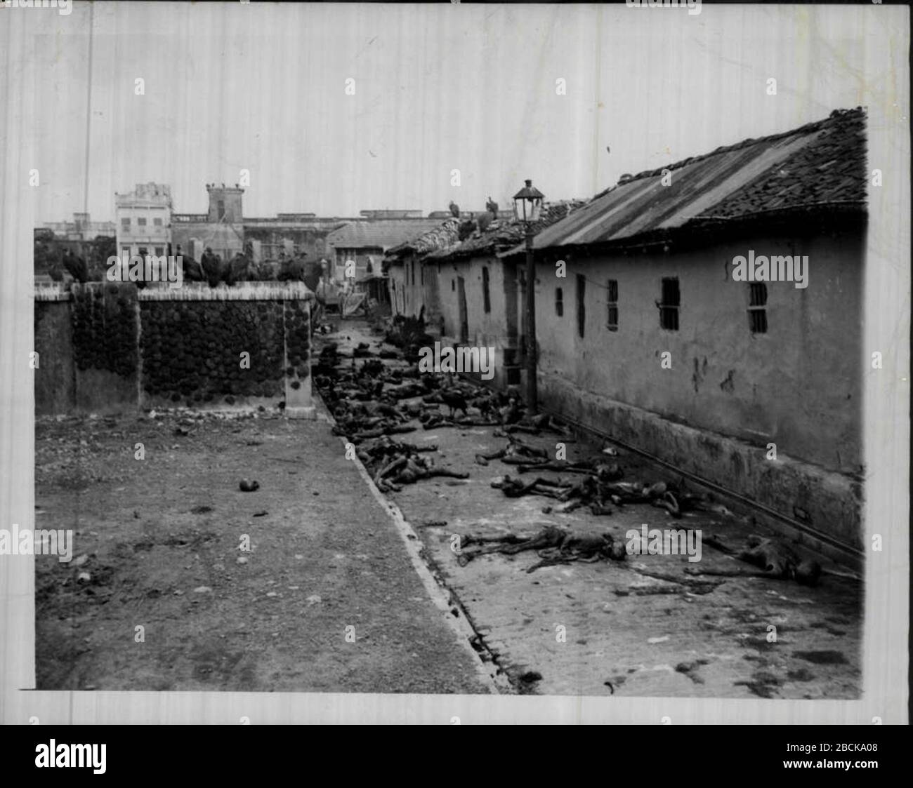 Riots in calcutta 1946 hi-res stock photography and images - Alamy