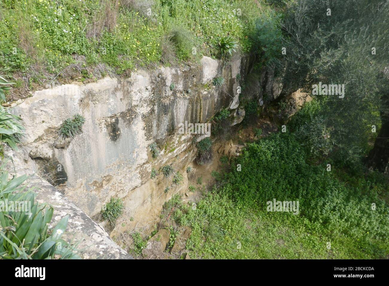 Nichoria hi-res stock photography and images - Alamy