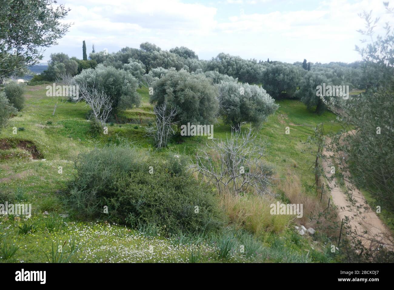 Nichoria hi-res stock photography and images - Alamy