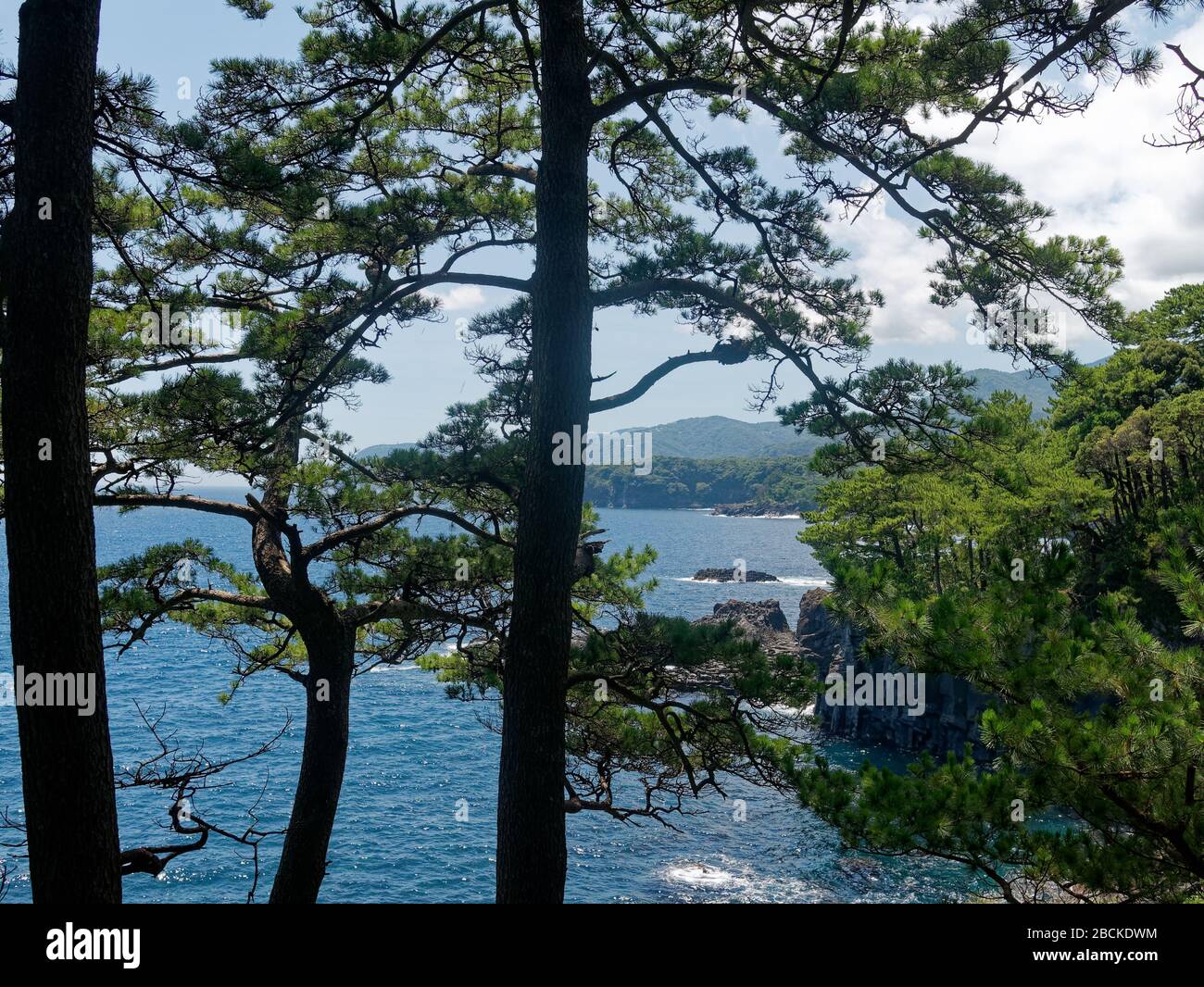 View of rocky cliffs with pine trees in Jogasaki coast in Izu, Japan ...