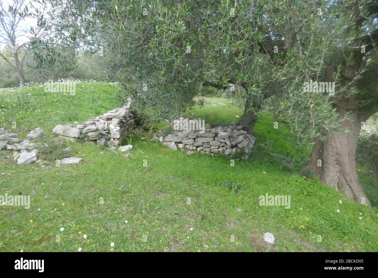 Nichoria hi-res stock photography and images - Alamy