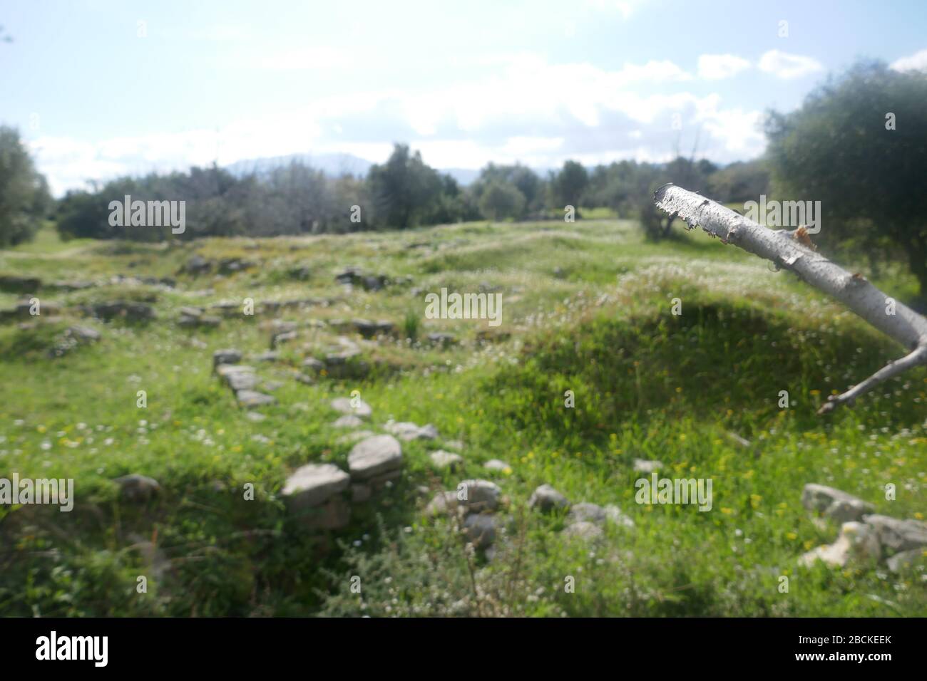 Nichoria hi-res stock photography and images - Alamy