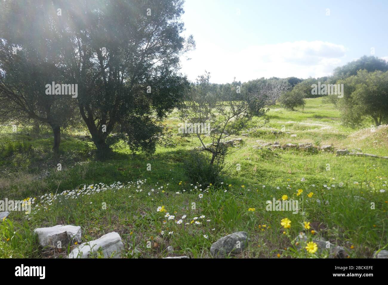Nichoria hi-res stock photography and images - Alamy