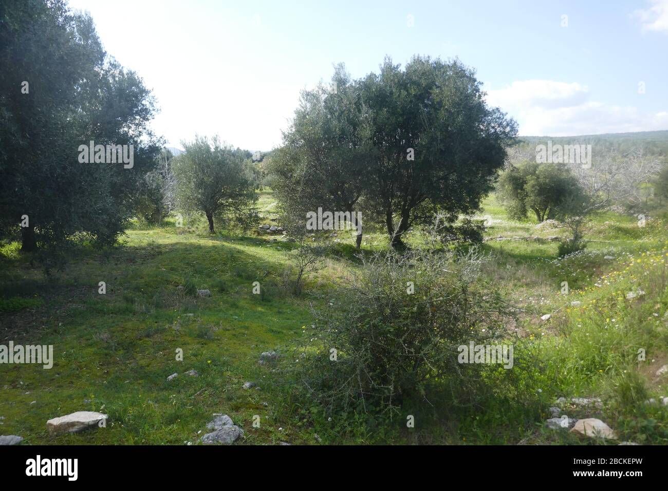Nichoria hi-res stock photography and images - Alamy