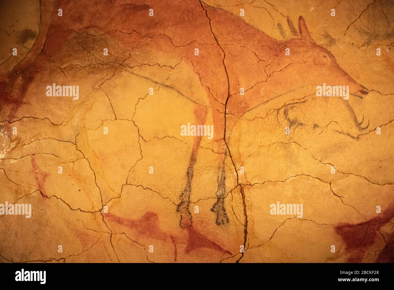 The Altamira Caves, Cantabria. Spanish rock art. It is the highest ...