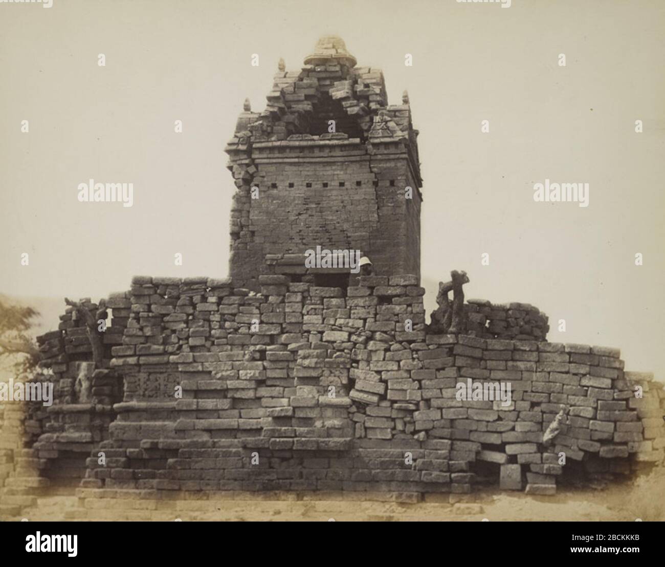 Amalaka hi-res stock photography and images - Alamy