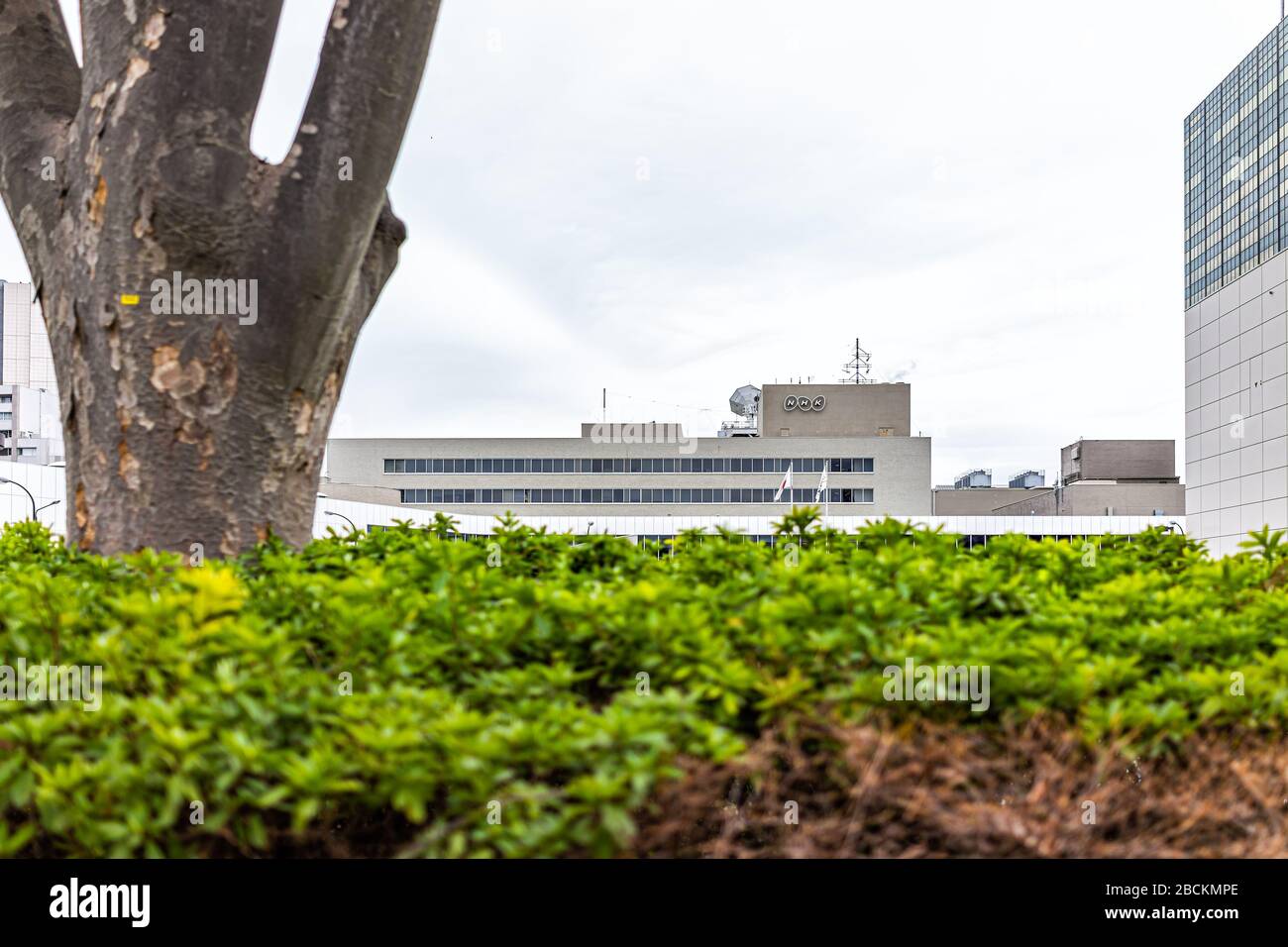 Tokyo, Japan - March 28, 2019: Yoyogi park area in morning in Shibuya ...