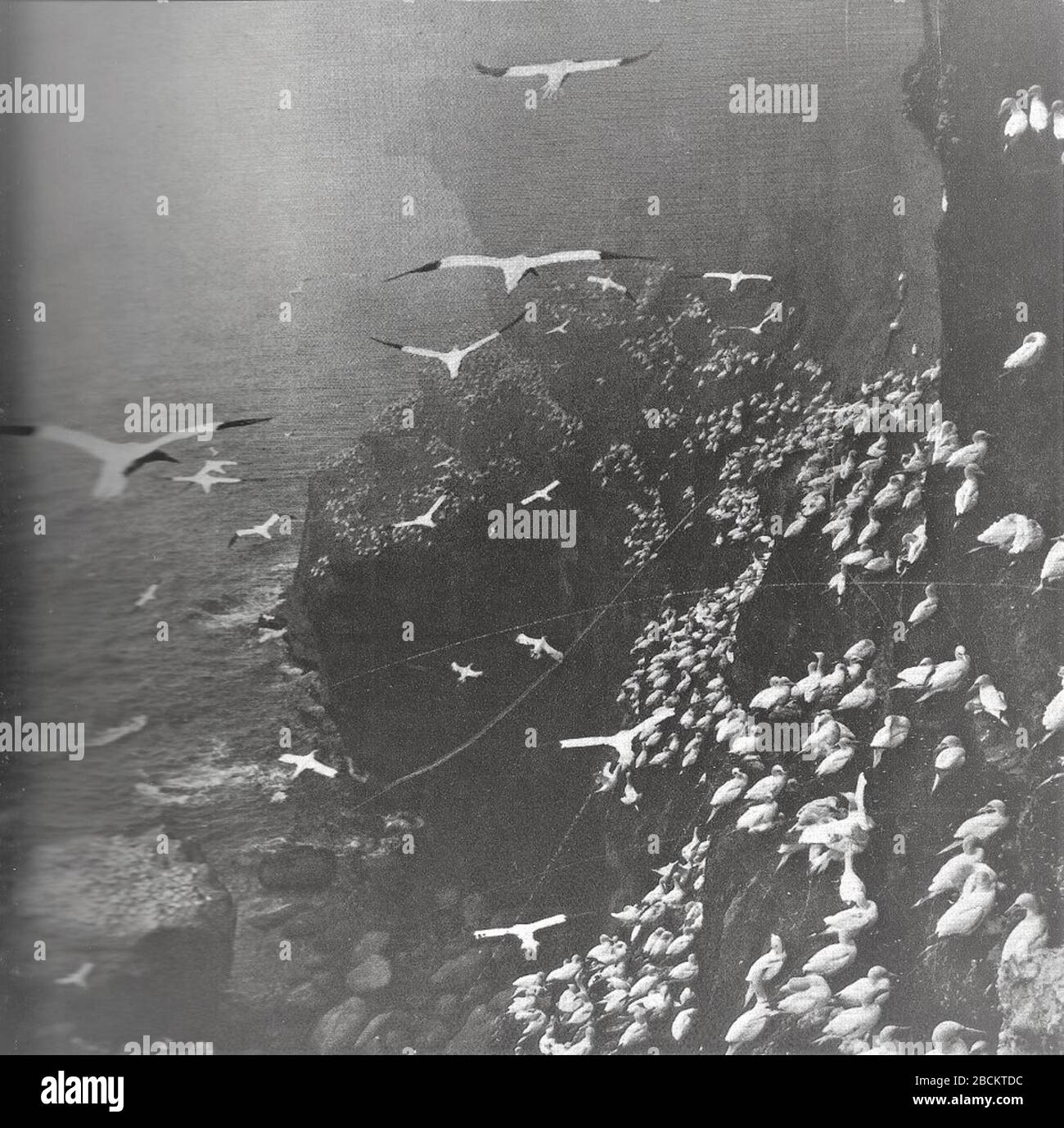 John Paget High Resolution Stock Photography and Images - Alamy