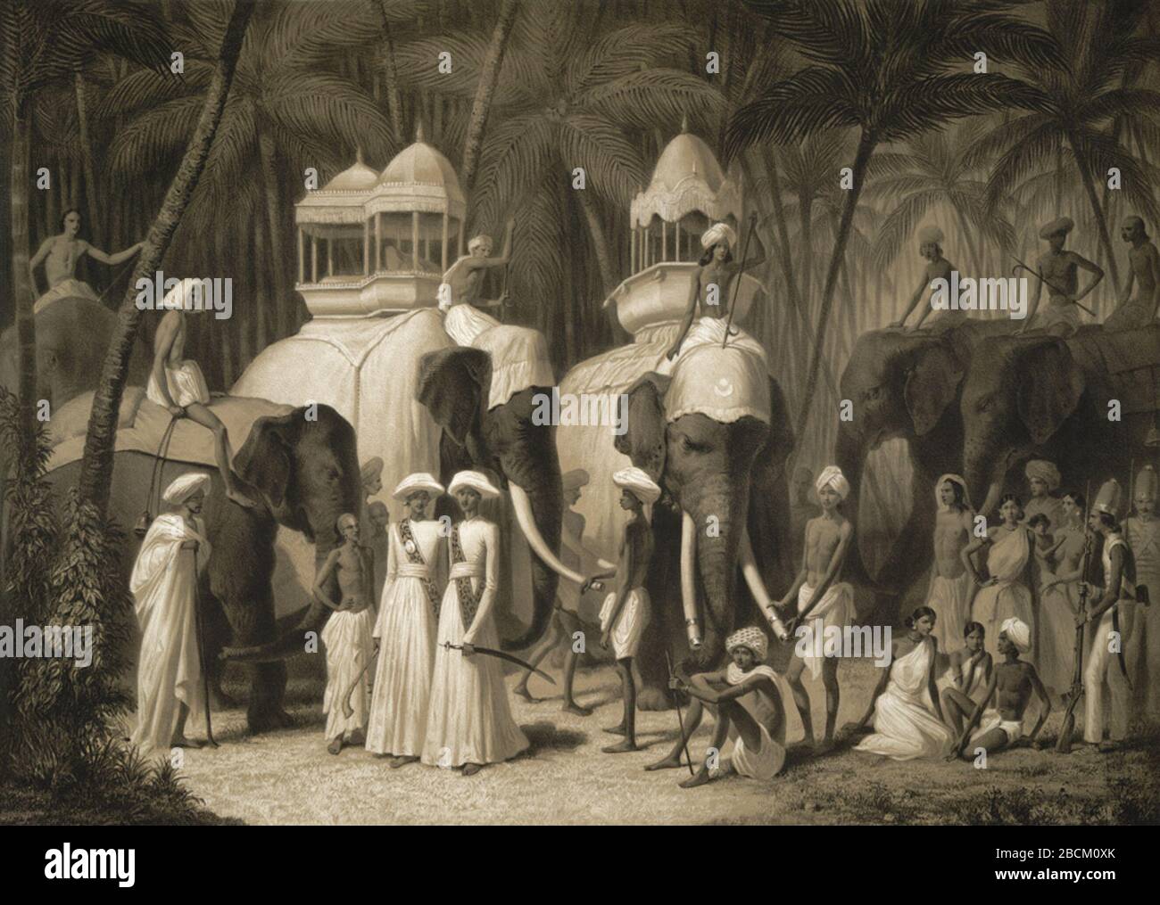 Travancore elephants hi-res stock photography and images - Alamy