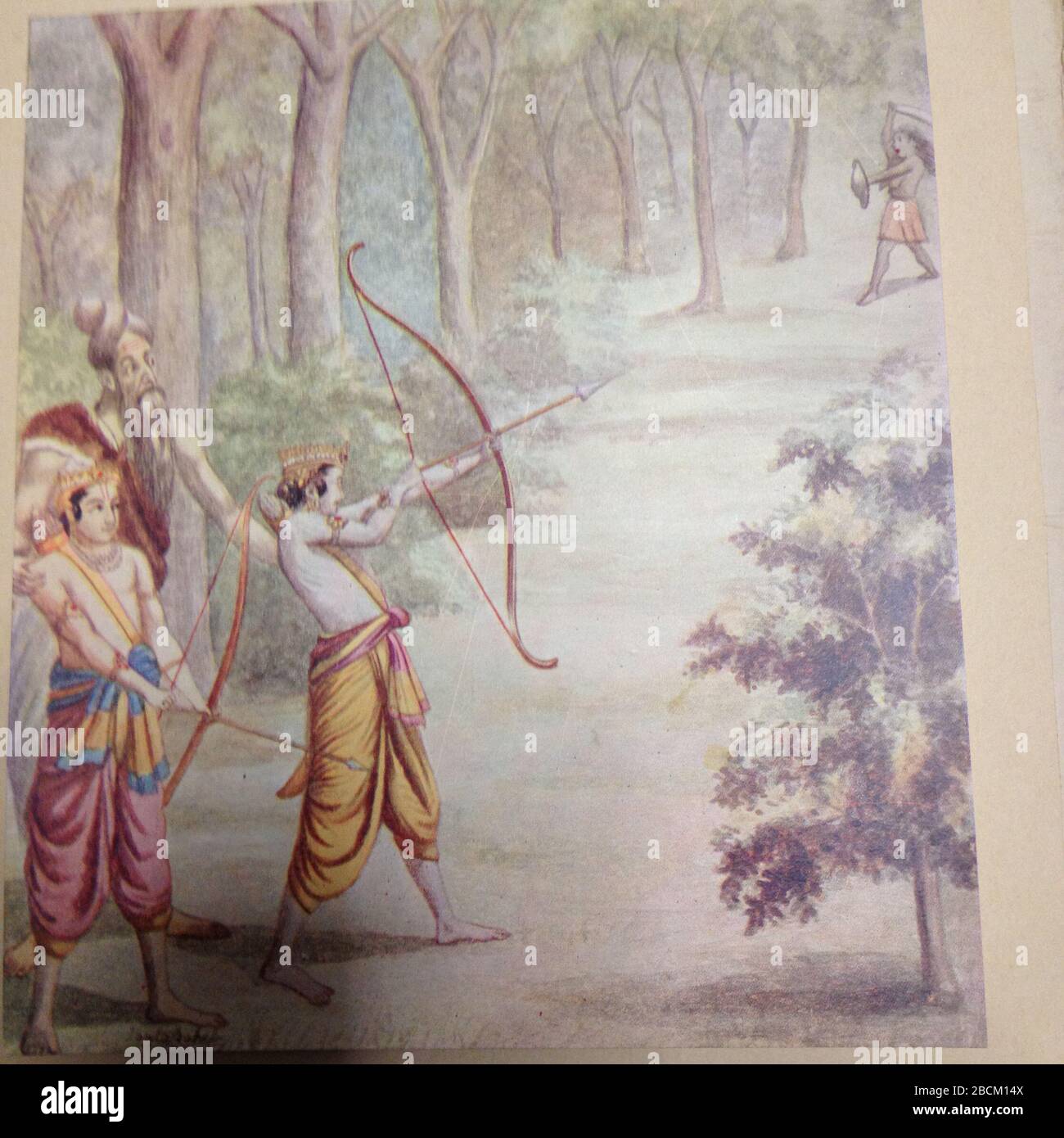 Studies studied hi-res stock photography and images - Alamy