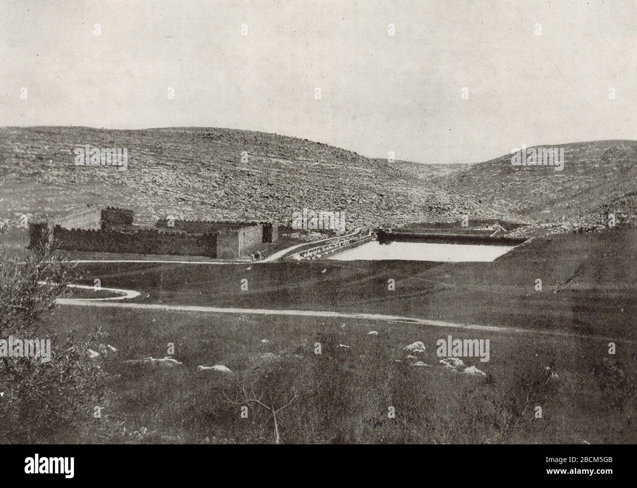 Solomon’s pools hi-res stock photography and images - Alamy