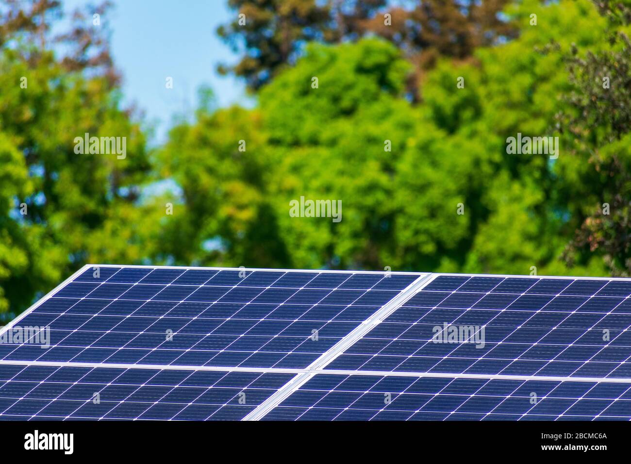 Detail of blue solar panels with blurred green trees landscape ...