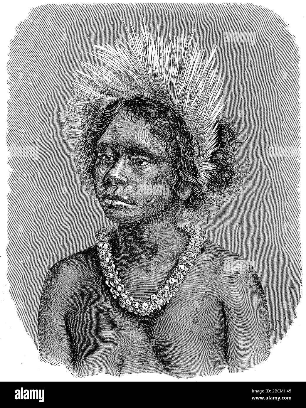 Friedrich ratzel hi-res stock photography and images - Alamy