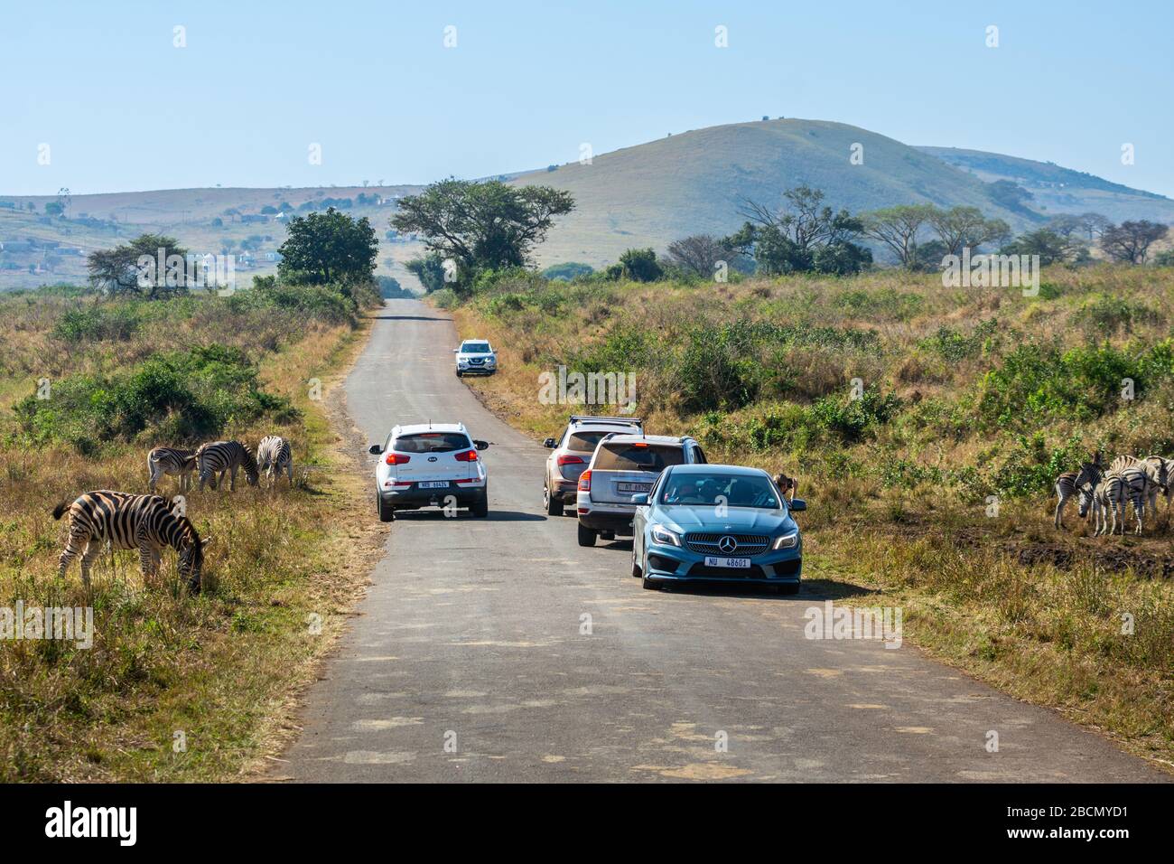 Hluhluwe imfolozi game reserve hi-res stock photography and images - Alamy