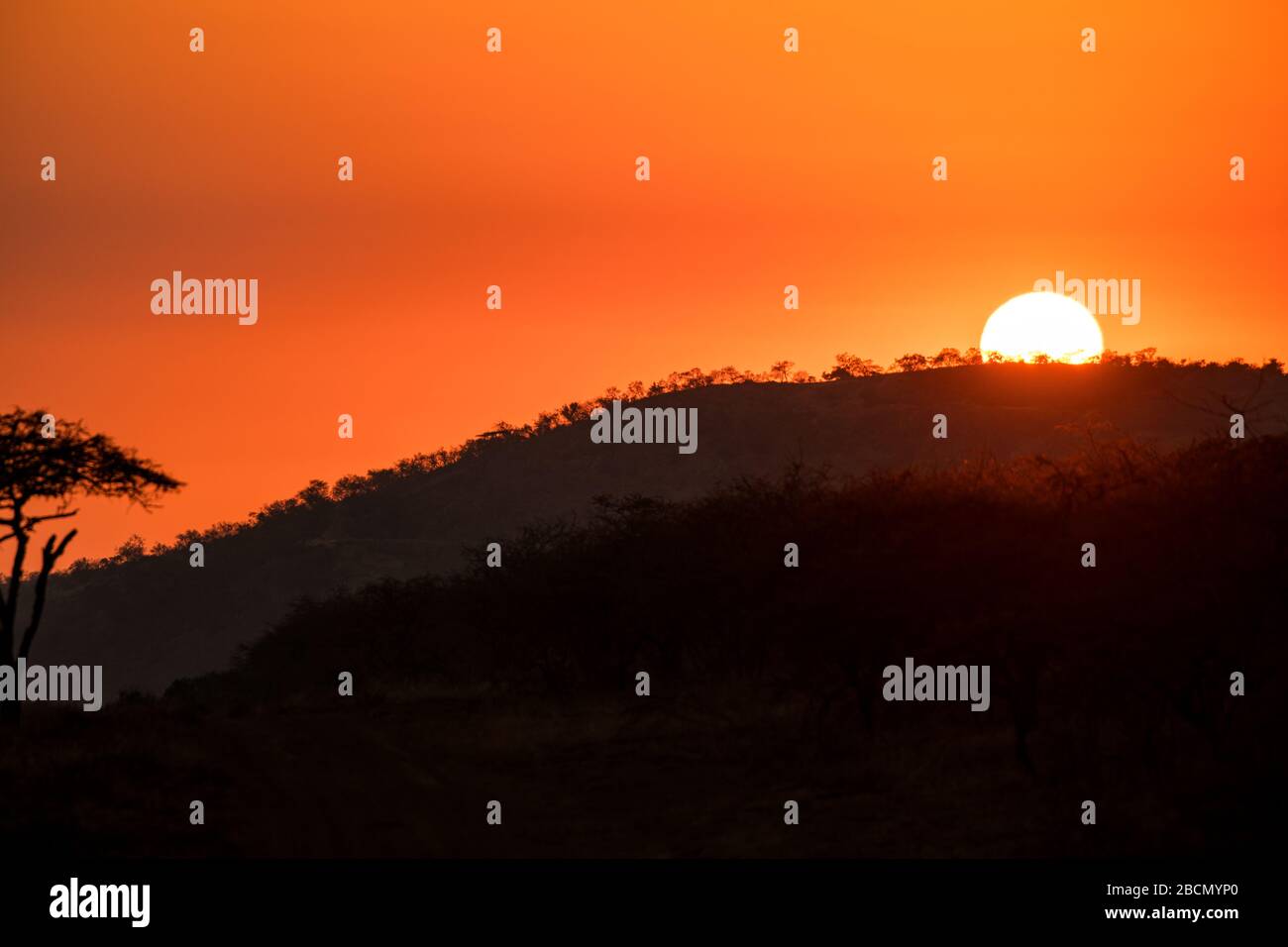 Zulu in africa hi-res stock photography and images - Alamy