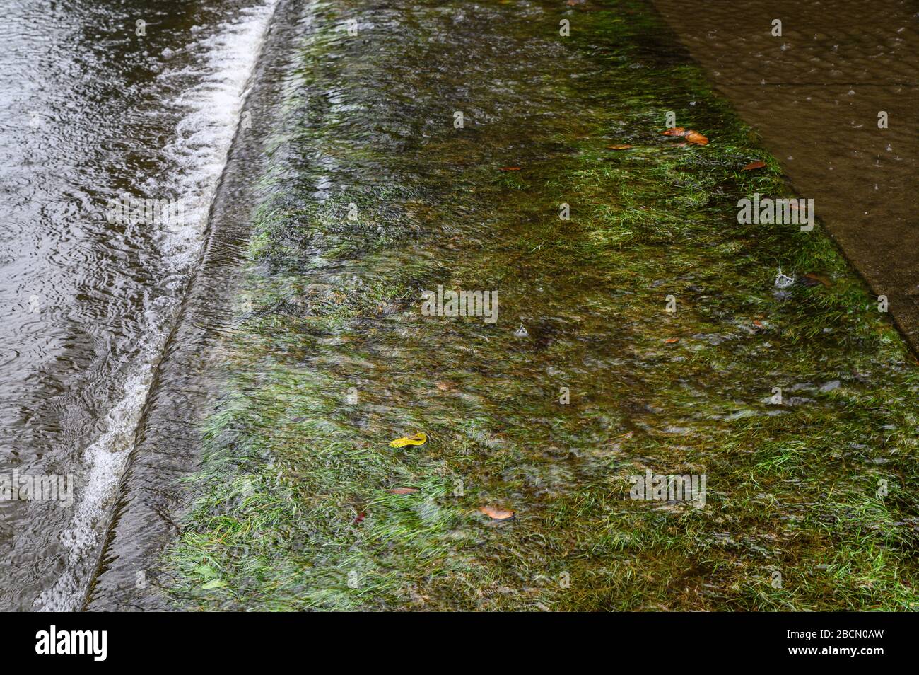 Heavy rain caused flooding over sidewalk, grass strip, and road Stock ...