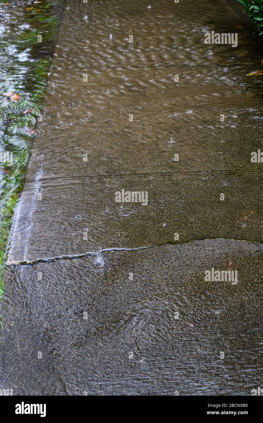 Heavy rain caused flooding over sidewalk and grass strip Stock Photo ...