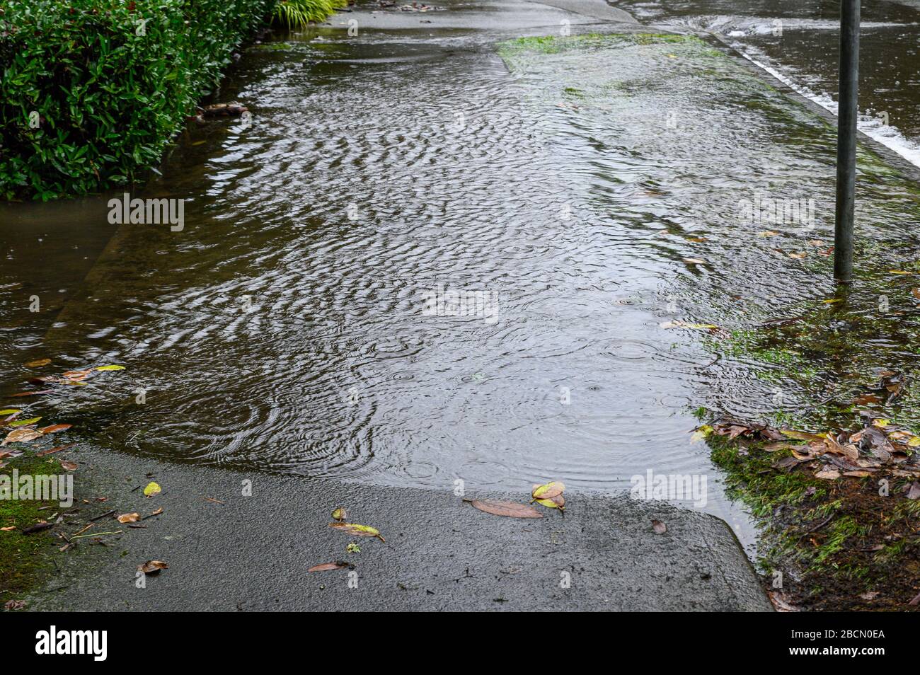 Heavy rain caused flooding over sidewalk, grass strip, and road Stock ...