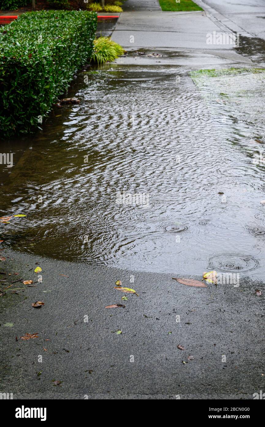 Heavy rain caused flooding over sidewalk, grass strip, and road Stock ...