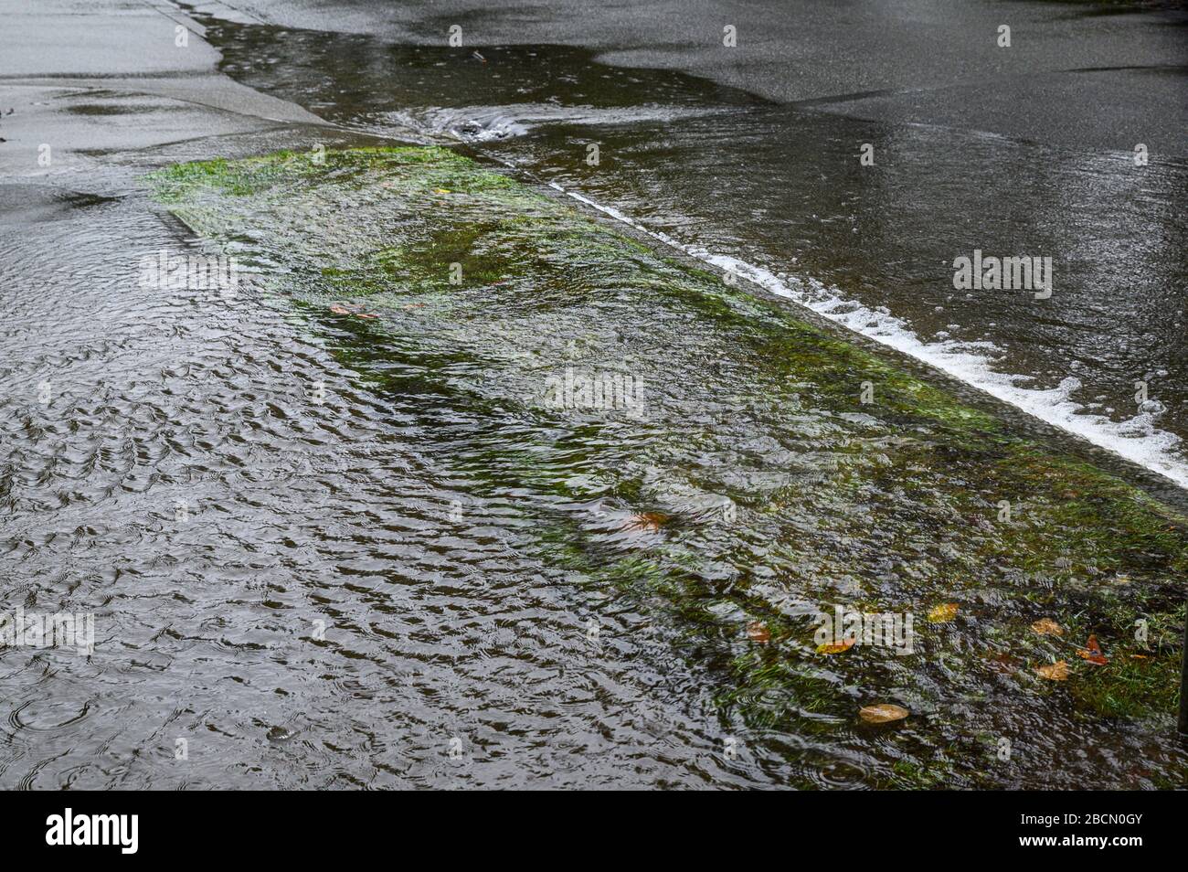 Heavy rain caused flooding over sidewalk, grass strip, and road Stock ...